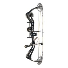 History of Archery - A Not So Brief History of an Ancient Practice