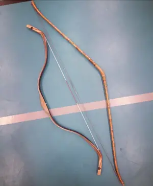 Types of Bows - Traditional, Recurve, Compound, Everything in Between!