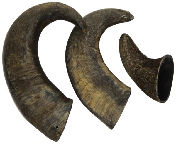 The Horn Bow - Archery Historian