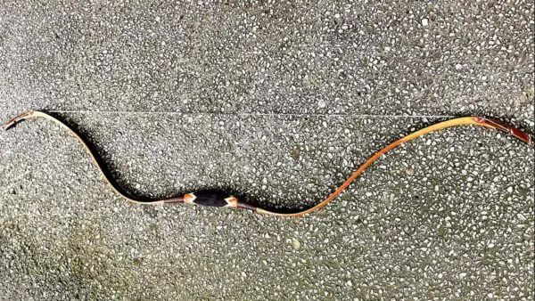 Saracen Archery - Archery Historian