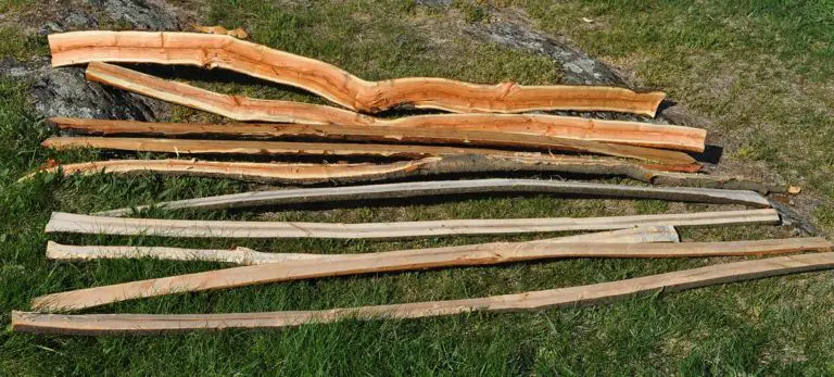 The Best Wood for Bows - Archery Historian