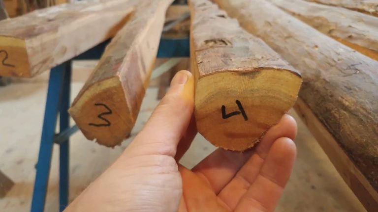 The Best Wood for Bows - Archery Historian