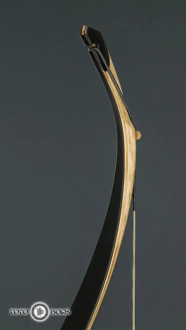 The Sultanite by TOTO - Archery Historian