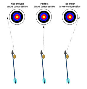 Glossary of Archery Terms - All Phrases, Slang and Terminology