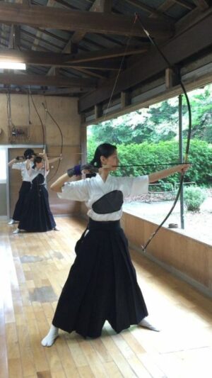 Archery Injuries - Archery Historian