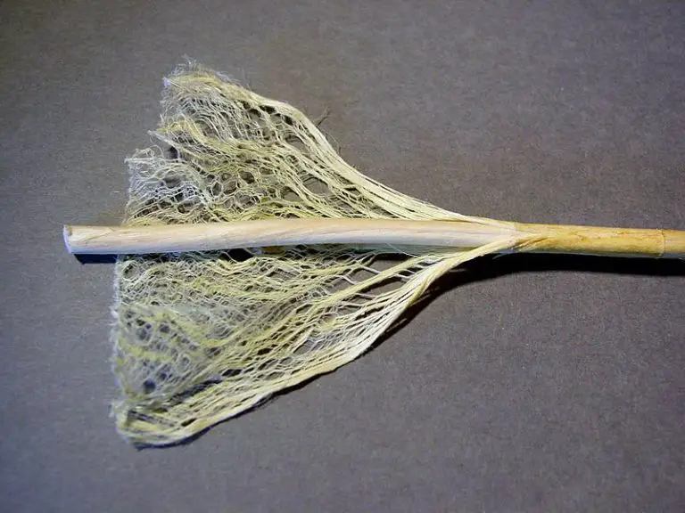 Types of Bowstrings - Archery Historian
